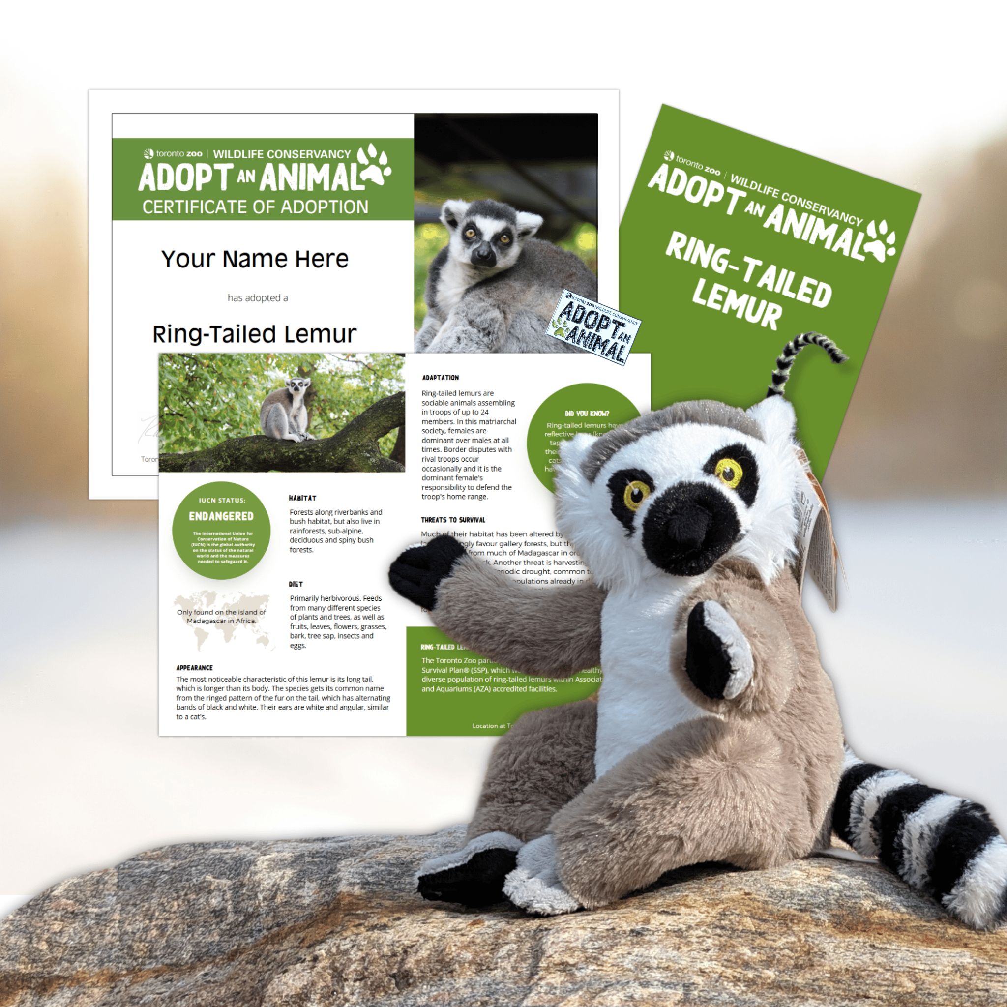 Toronto Zoo Wildlife Conservancy Adopt an Animal – Toronto Zoo Wildlife ...